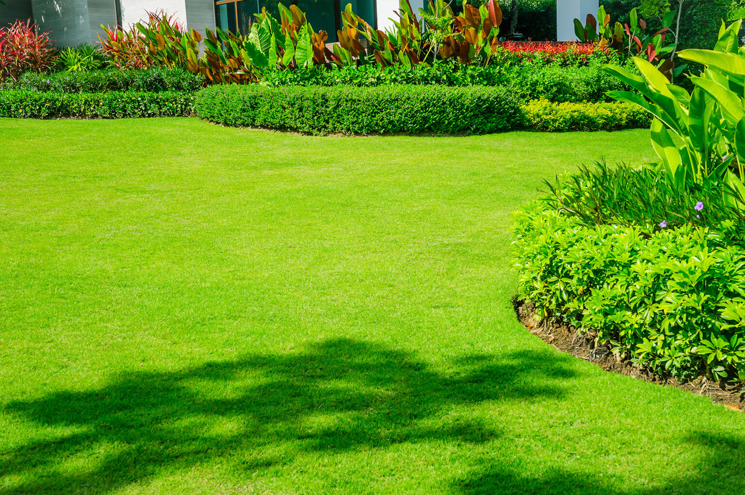 Lawn Treatment - Green for Green Lawn Service